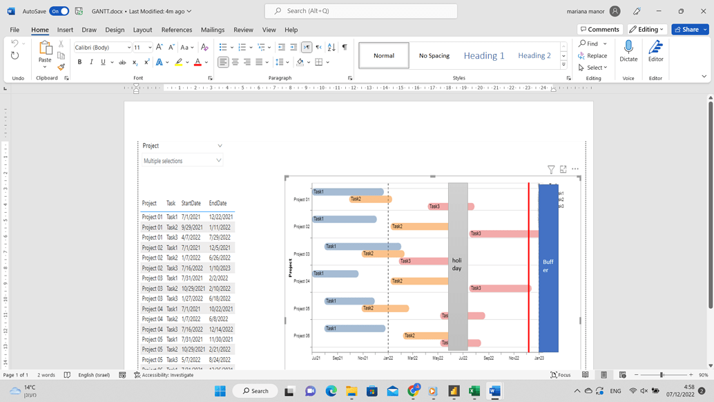 Gantt chart- holiday - Deneb Showcase - Enterprise DNA Forum